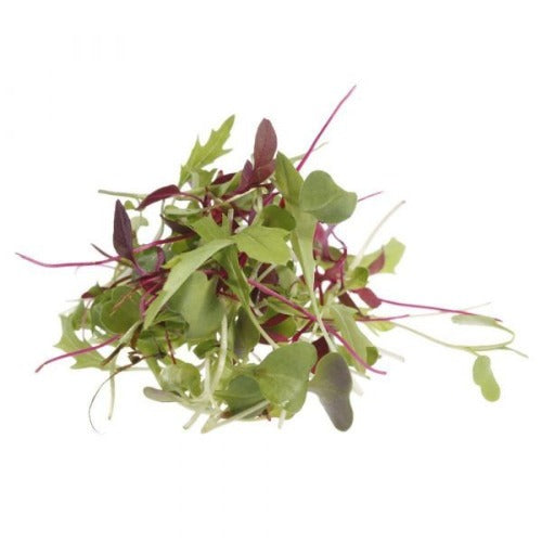 Westlands Micro Leaf salad micro leaf mix 30g – LEMON AND LIMES LONDON LTD